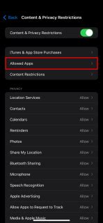 Understanding Parental Controls For IPhone