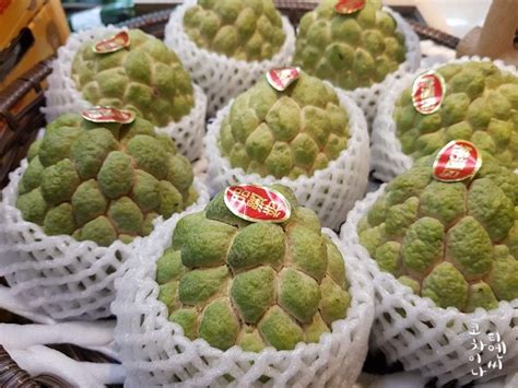 대만 생활 대만 이색 과일 추천석가 용과 구아바 자바애플 파파야 네이버 블로그