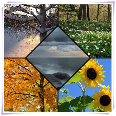 Om Allt Och Inget Tänd Ett Ljus