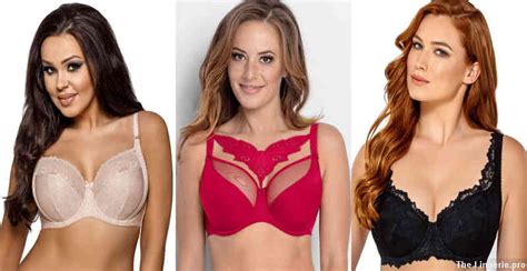 What Does Ddd Mean In Bra Sizes The Lingerie Pro