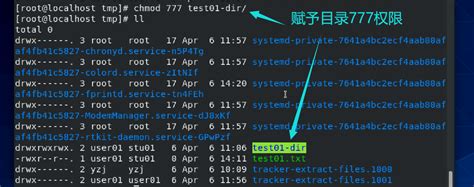 linux实验三： 文件和目录的访问权限 用户组群与文件目录权限管理 实验 csdn博客