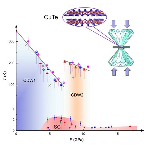 Two Distinct Charge Density Wave Orders And Emergent Superconductivity In Pressurized Cute Matter