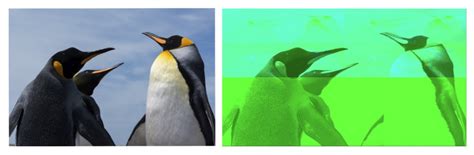 Lesson 6 Rgb Color And Yuv Color Zegocloud