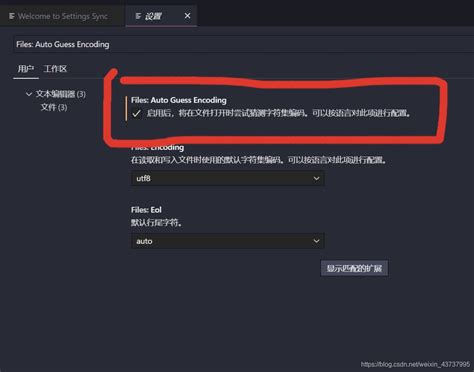 vscode设置语言为中文，并且解决中文注释乱码问题。 vscode修改中文编码 csdn博客