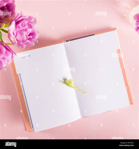 Open Notebook For Writing Down Plans Or Dreams Girly Settings On The