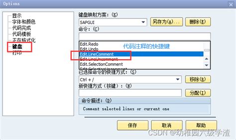 sap gui 代码补全设置、sap abap 快捷键修改 sap 日记账的补充代码在哪里设置啊 csdn博客