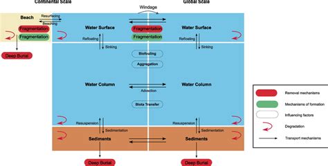 Fate Framework For Microplastics In The Marine Environment Download Scientific Diagram