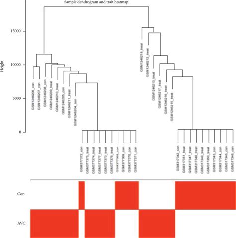 differentially expressed gene analysis and weighted gene coexpression