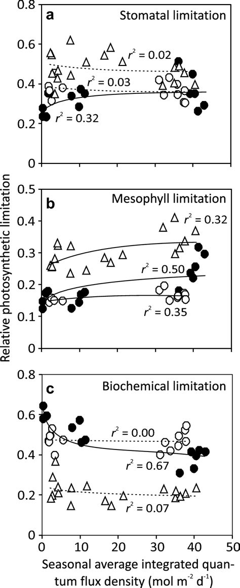 Within Canopy Variation In Relative Photosynthetic Limitations Due To Download Scientific
