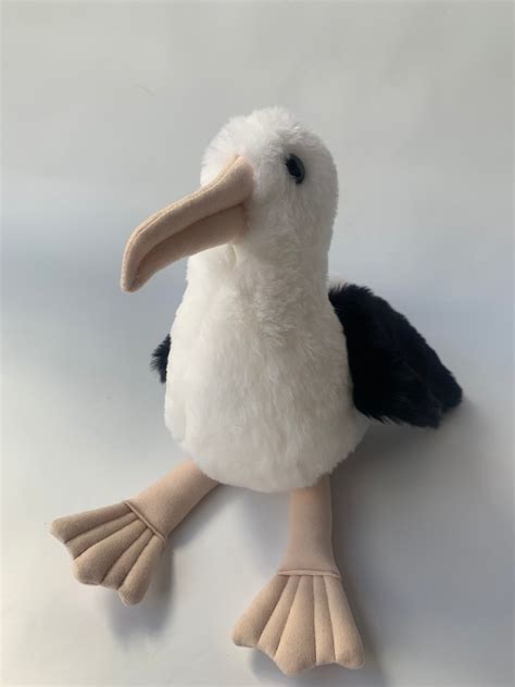 Native Z Albatross Adult Large The Royal Albatross Centre