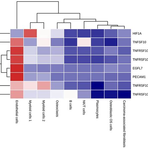 the heatmap analysis showing the differential expression of pink