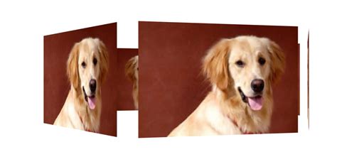 web CSS 实现 D旋转木马 小不点灬 博客园