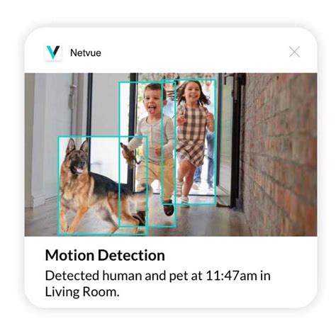 netvue protect plan ai skills netvue