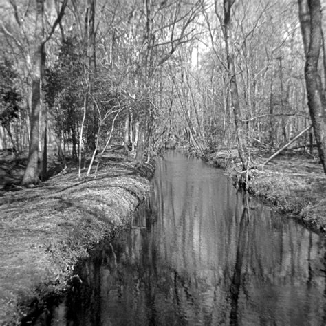 Elevation Map Of Colleton County Sc Usa Topographic Map Altitude Map
