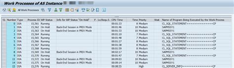 3141649 Analyze The Priv Mode With Kernel Snapshot Analyzer Sap