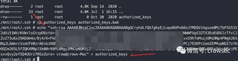 Docker Api未授权漏洞复现 阿里云开发者社区 Docker Api未授权漏洞复现 阿里云开发者社区