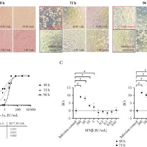 Antiviral Activity Of Interferon Ifn β 1a A Cytopathic Effect Cpe Download Scientific