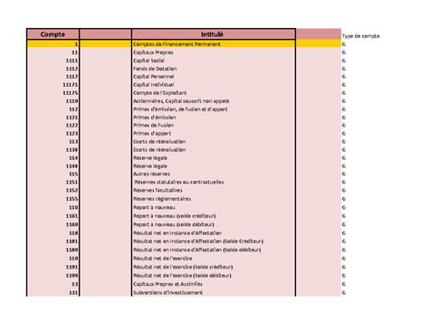 E Plan Comptable Marocain Excelxls Feuil 1 Compte