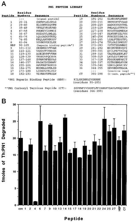 Peptide Library Construction And Screening A Peptides 1 28 Hbp And