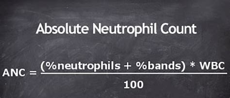 Absolute Neutrophil Count Absolute Neutrophil Count Oncology Nursing Nursing School