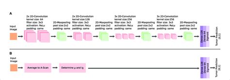 Architectures Of The Neural Networks For The Tumor Classification Download Scientific Diagram
