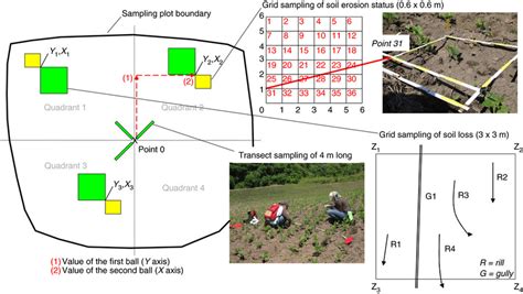 Diagram Of Sampling Plots Showing The Selection Process Of The Download Scientific Diagram