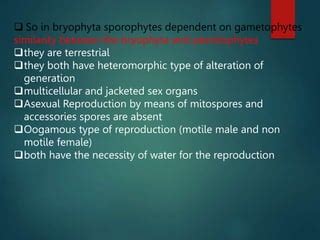Bryophyta Obs Pptx