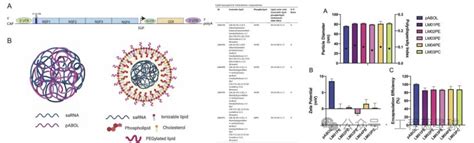 【耀文解读】自复制rna Sarna 递送系统开发：聚合物和脂质纳米颗粒 Lnp 的比较 知乎