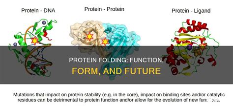 Protein Folding Function Form And Future Medshun