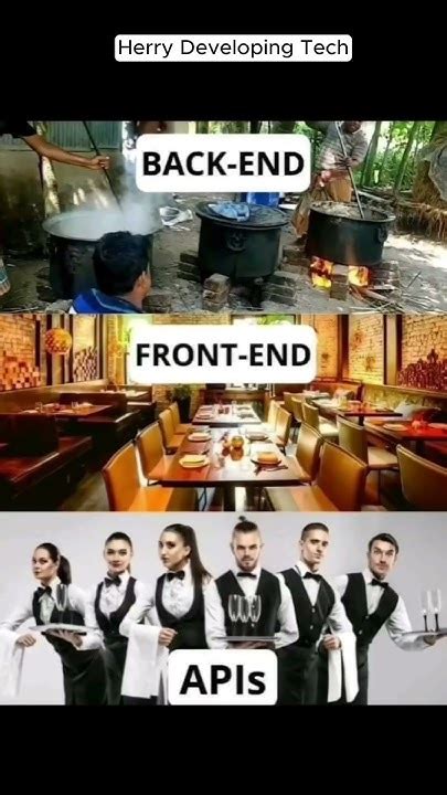 🌐 How Apis Work In Real Life 🚀 Javascript Html Css 🔥shorts