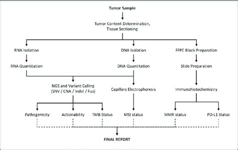 Celldx Assay Workflow The Schema Depicts The Sequence Of Sample