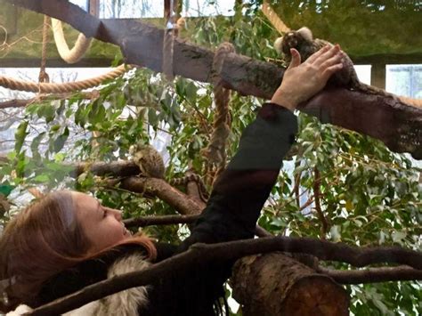 Let`s Talk About Sex Mathias Von Flurl Schule