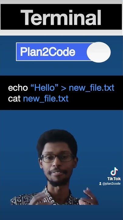 Displaying A Files Contents To A Terminal Using Bash 13 Bash Code Coding Plan2code