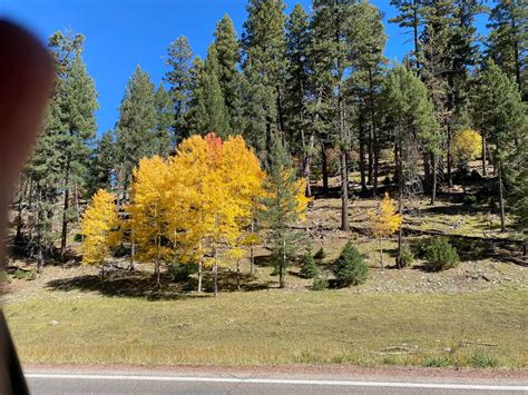 Cloudcroft Truck And Auto Cloudcroft Nm
