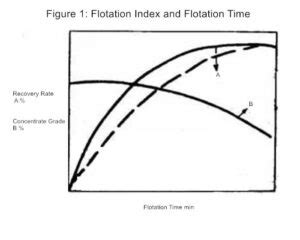 Factors Affecting Flotation Effect JXSC Mineral