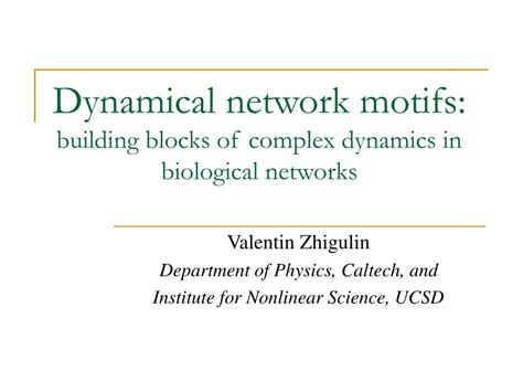 Ppt Dynamical Network Motifs Building Blocks Of Complex Dynamics In