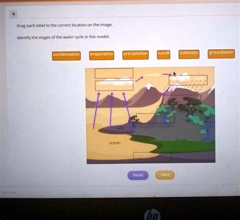 4 Drag Each Label To The Correct Location On The Image Identify The Stages Of The Water Cycle