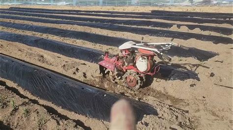 고추밭 고랑 평탄작업4월 19일 Youtube