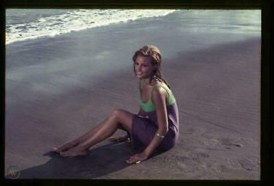 Raquel Welch Barefoot Wet Hair On Sand In Dress Rare Original 35mm