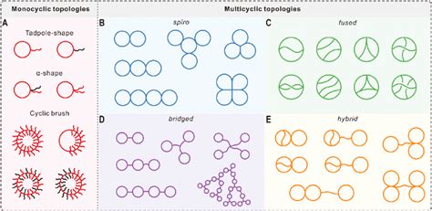 Selected Macromolecular Architectures Derived From Cyclic Polymers A Download Scientific