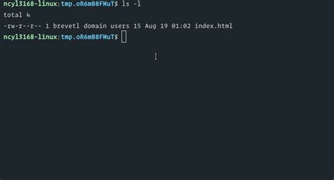 Double Indentation For Script Tag In Html · Issue 15423 · Neovim