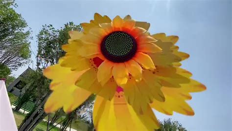 Video Xiaohui Gu Posted On Linkedin