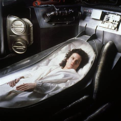 Scientists Think Humans May One Day Be Able To Hibernate Science Of Us Scientists Think Humans May One Day Be Able To Hibernate Science Of Us