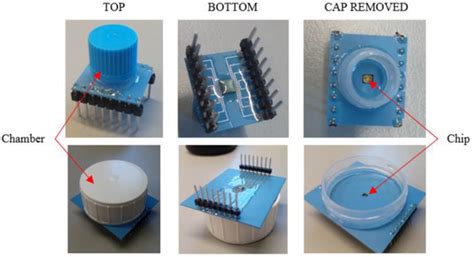 Sensors Special Issue Non Invasive Biomedical Sensors