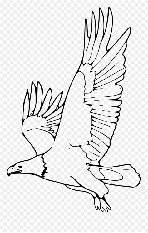 Eagle Outline Png 54 Koleksi Gambar