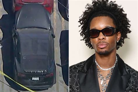 Dead Body Found In Impounded Tesla Reportedly Registered To D4vd