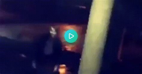 Darwin Award Candidate  On Imgur