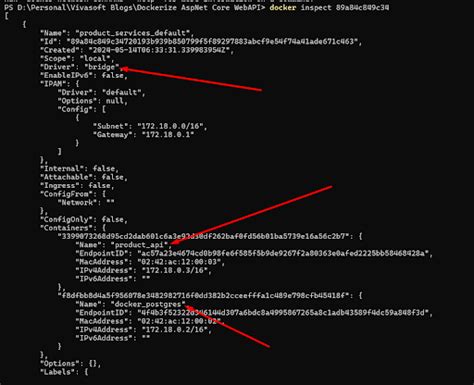 Communication Between Docker Containers A Deep Dive 2025