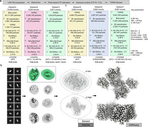 Cryo Em Analysis A High Level Overview Of The Image Analysis Pipeline