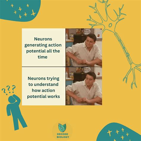 Decode Biology With Saiqa On Linkedin Biology Bio Learnbiology